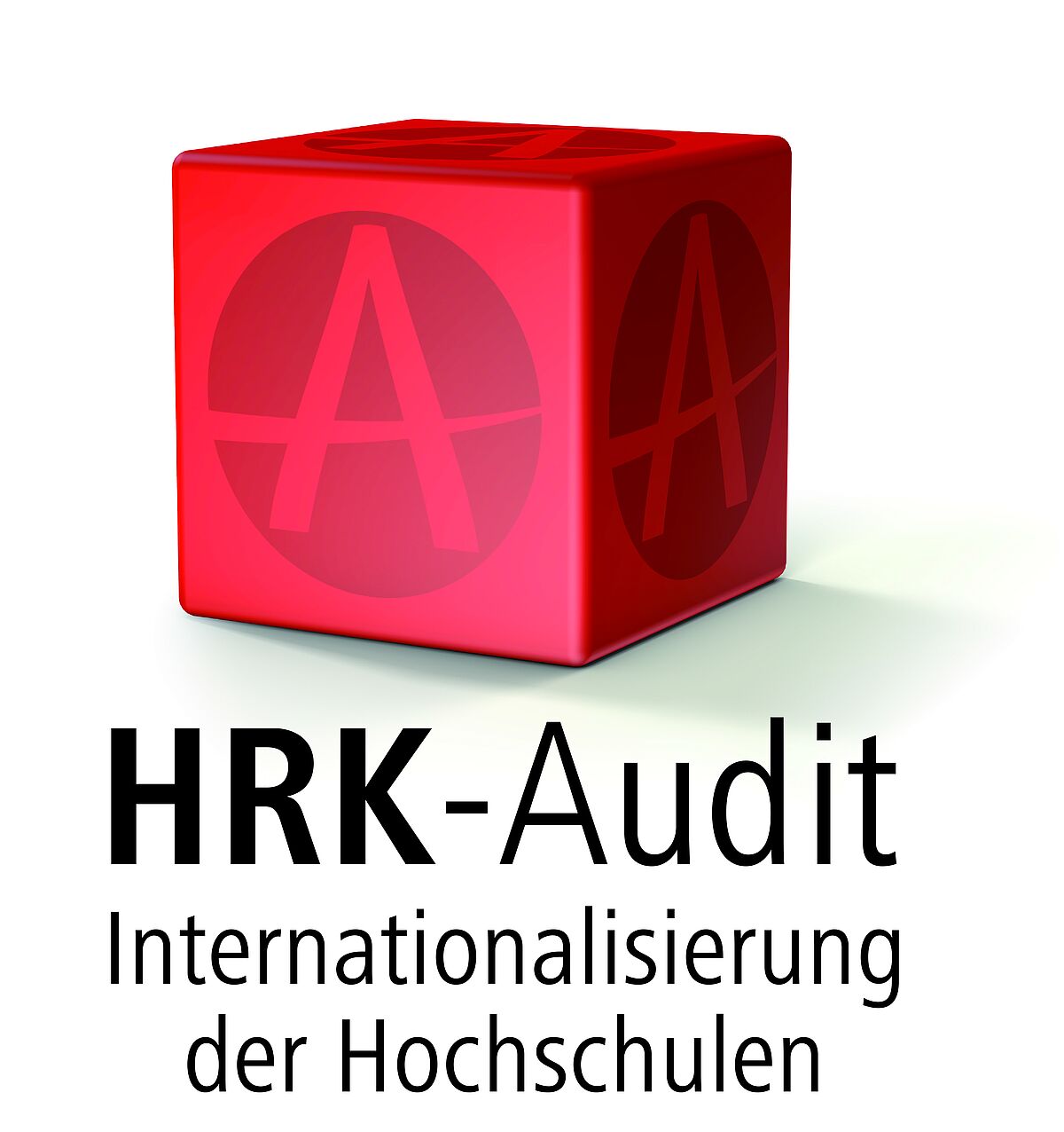 HRK-Audit „Internationalisierung der Hochschulen“ am 1. Dezember ...